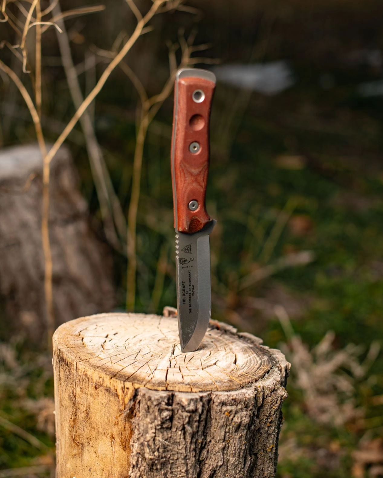 6 Best Bushcraft Knives For Outdoor Preparedness | Knife Informer