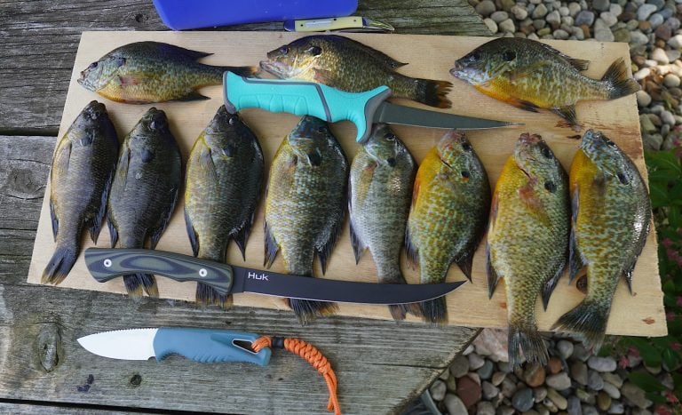 7 Best Fishing Knives: Augment Your Angling | Knife Informer